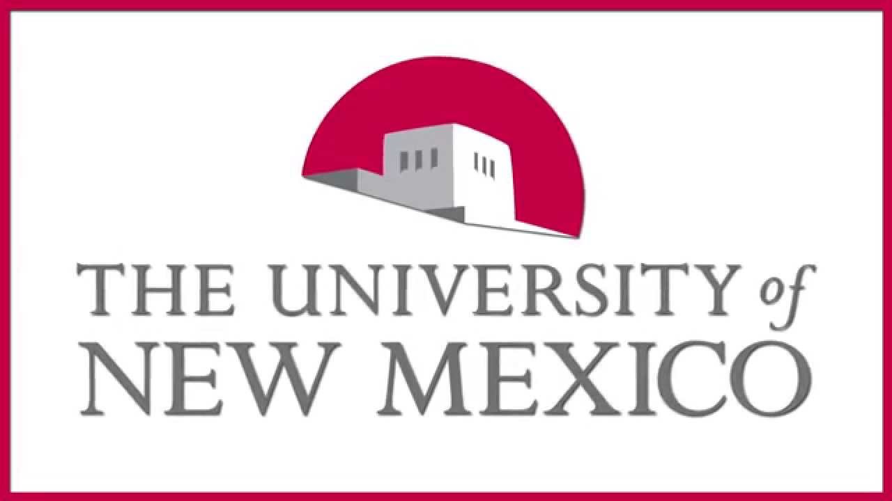 UNM Engineering Professors receive NSF CAREER Awards | David A. Bader